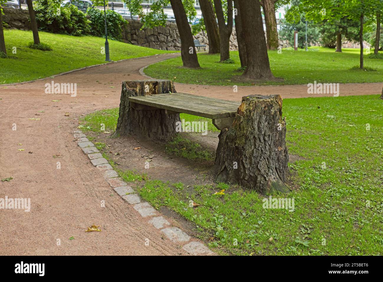 Two tree trunks hi-res stock photography and images - Alamy