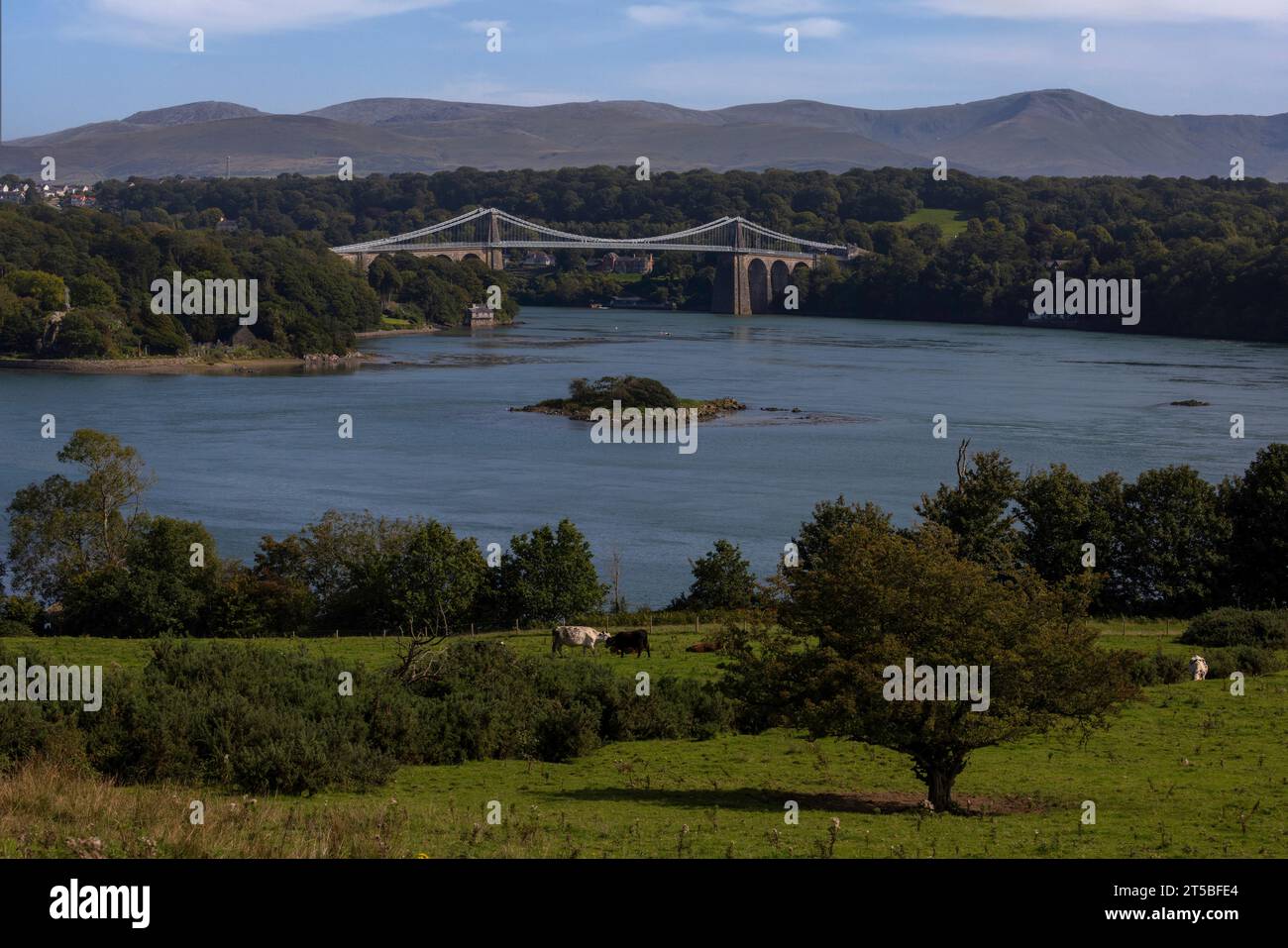 The iconic Menai Bridge, a suspension bridge designed by Thomas Telford ...