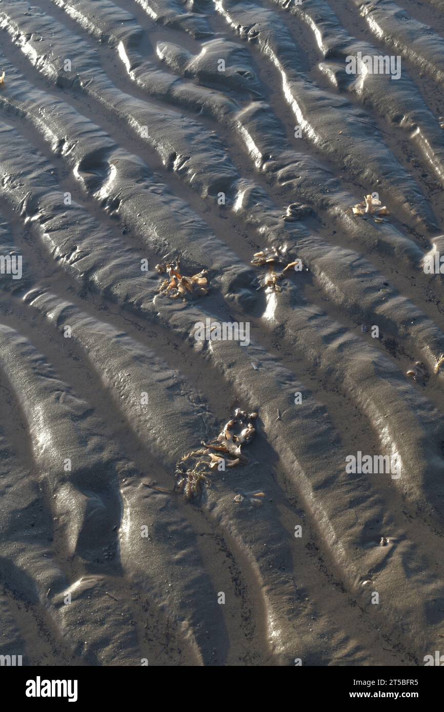 tidal ridges in sand brancaster beach norfolk england Stock Photo - Alamy