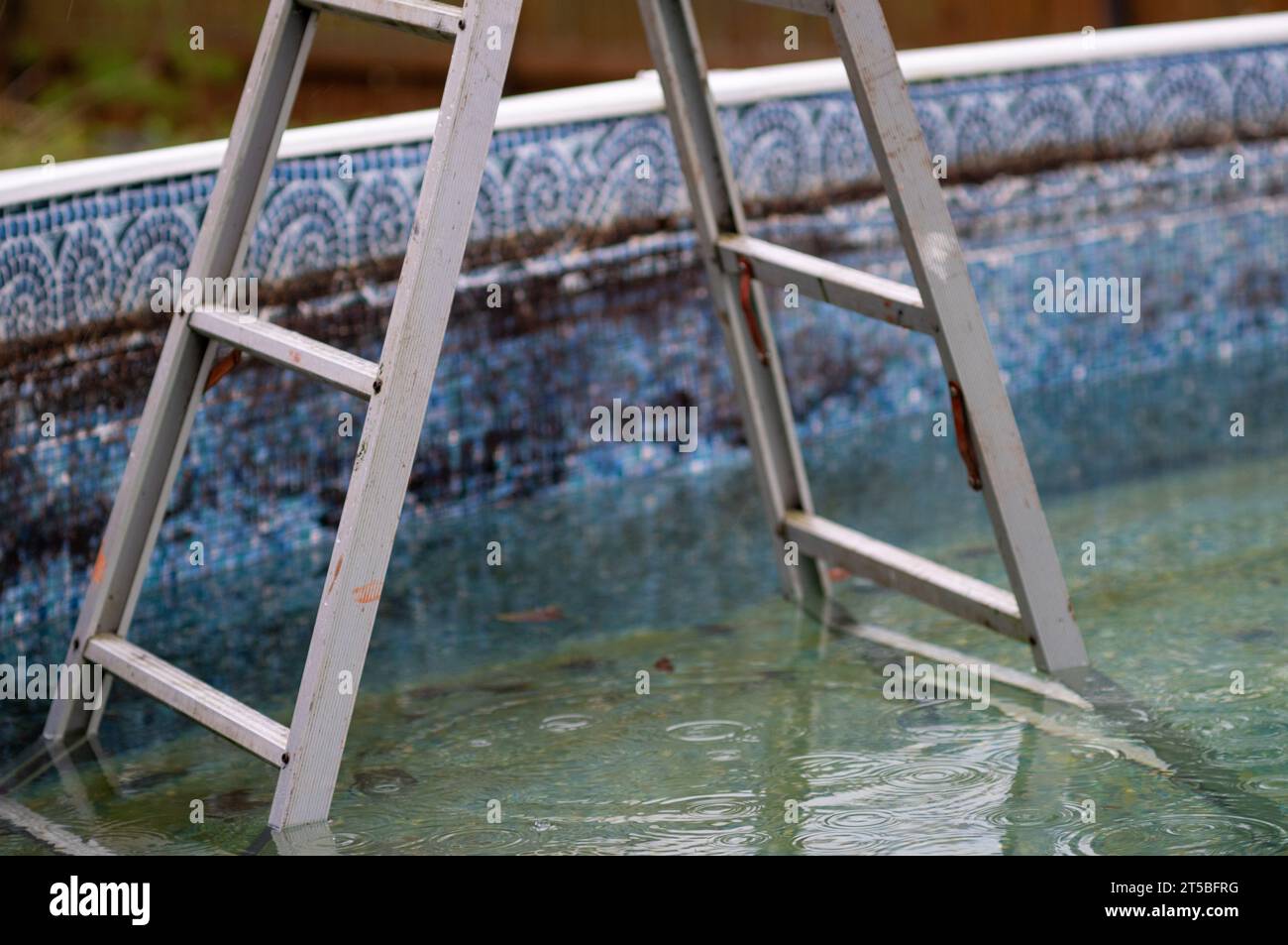 a metal folding ladder abandoned inside above ground swimming pool, no ...