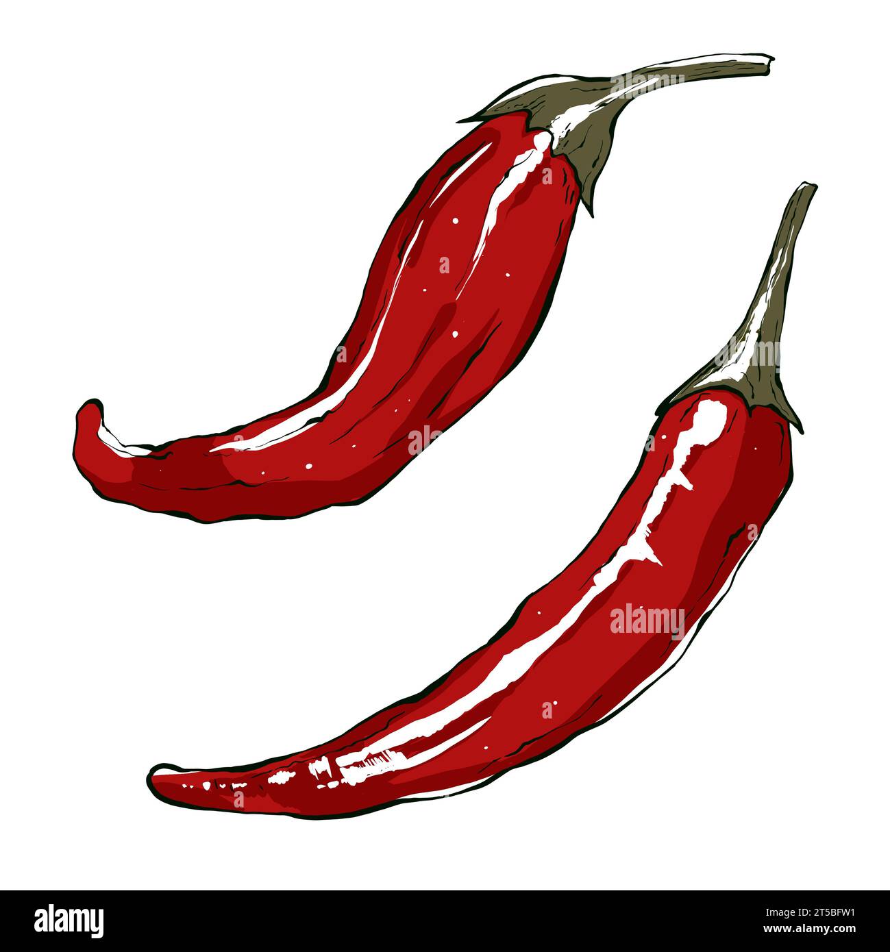 Set of red pepper, hot seasoning for food. Hand drawn illustration in ...