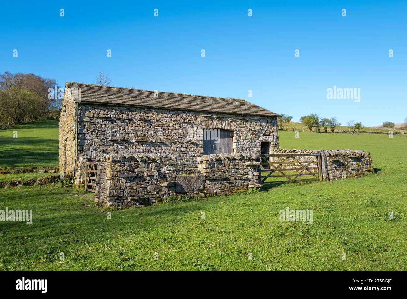 Stone barn for sheep in Dentdale, Cumbria Stock Photo - Alamy