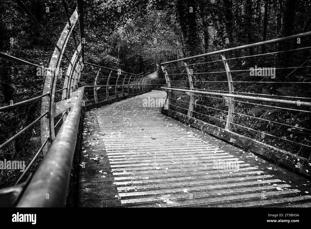 Bargoed Black and White Stock Photos & Images - Alamy