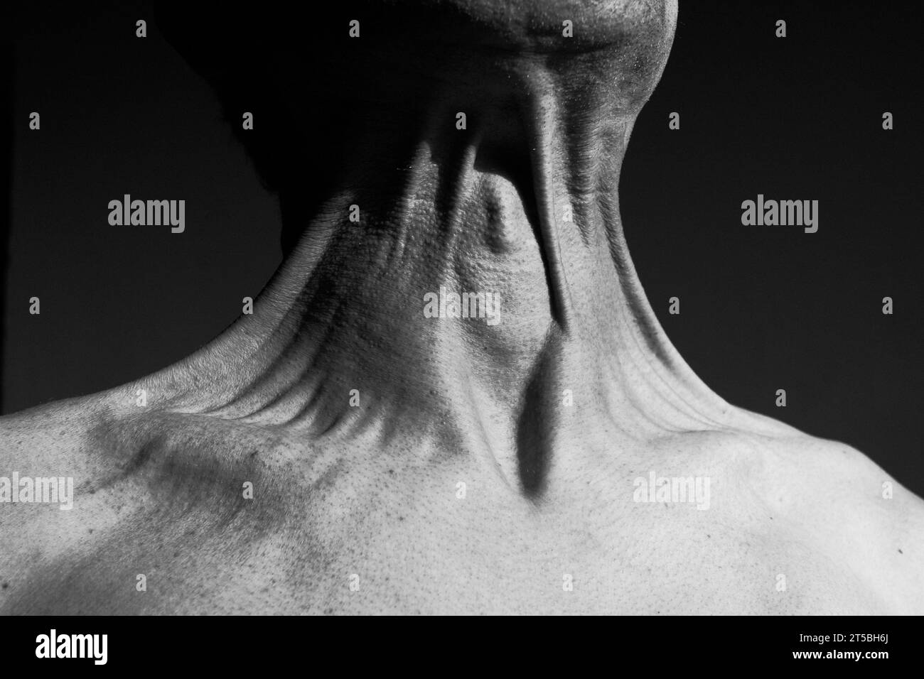 Strong feelings are represented by tensioned muscles and tendons Stock ...