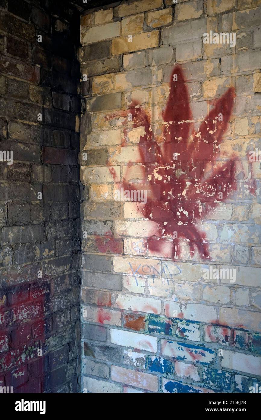 brick walls with grafitti Stock Photo - Alamy