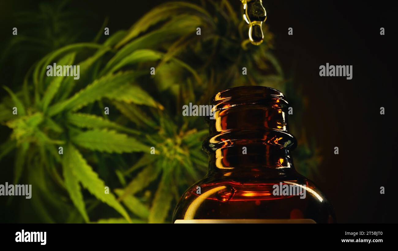Drip dosing pharmaceutical cbd hemp hi-res stock photography and images ...