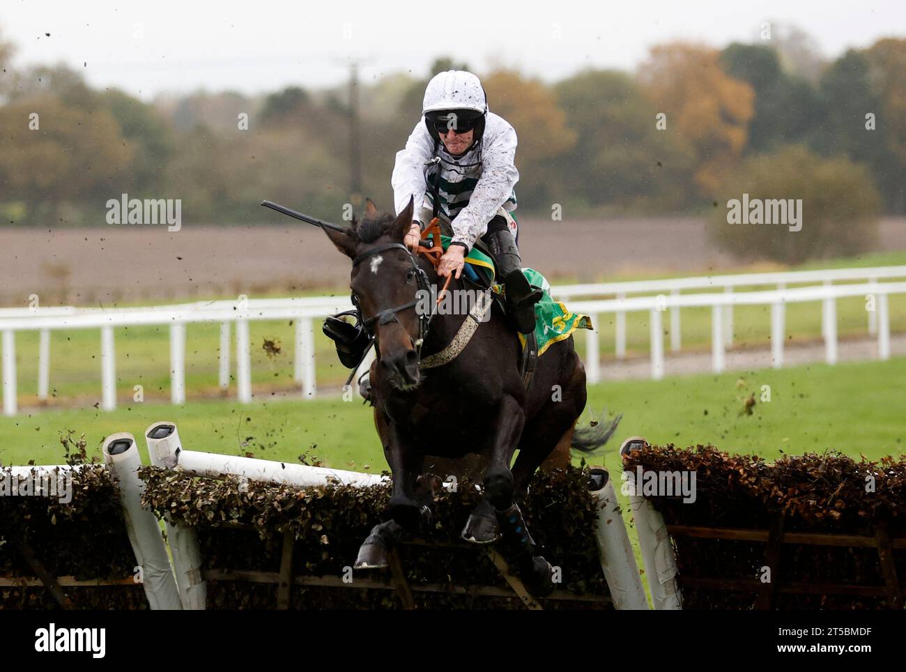 Botox Has ridden by Caoilin Quinn wins The bet365 Hurdle during day two ...