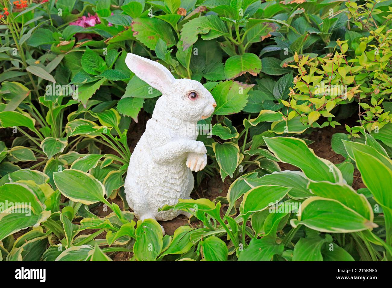 White rabbit sculptures in the grass Stock Photo - Alamy