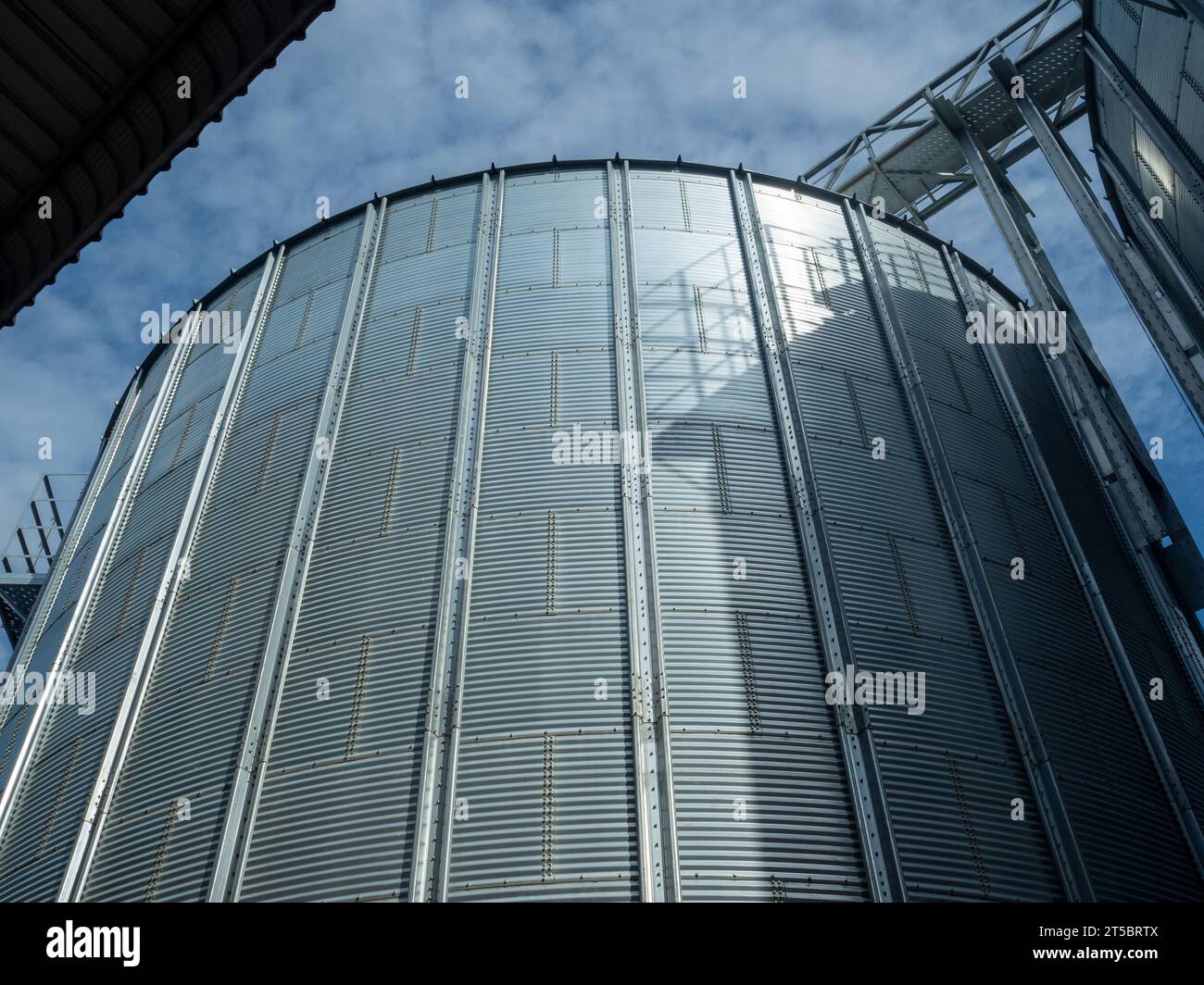 Storage silo for paddy rice at a milling plant Stock Photo - Alamy