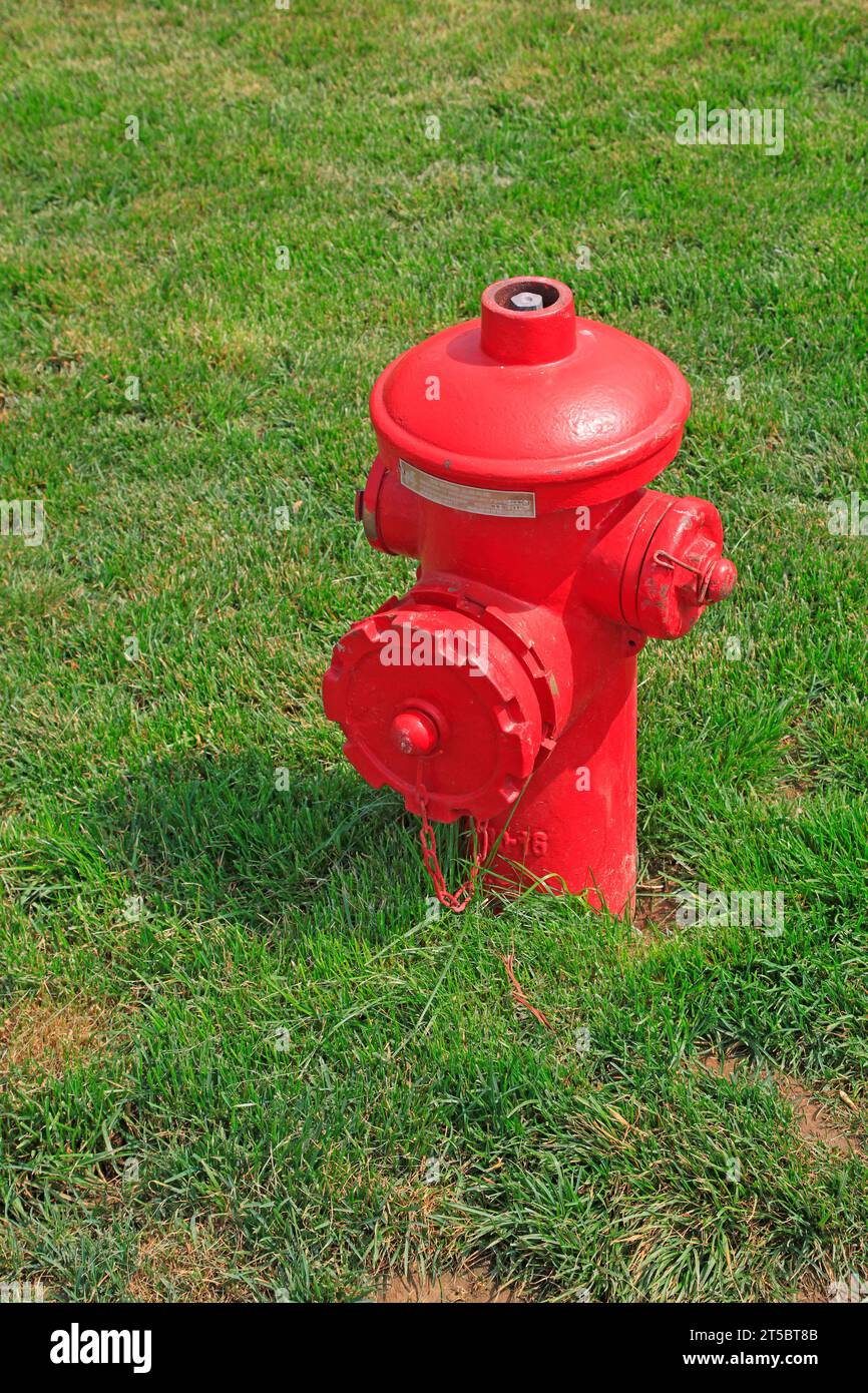 Fire hydrant in plants hi-res stock photography and images - Alamy
