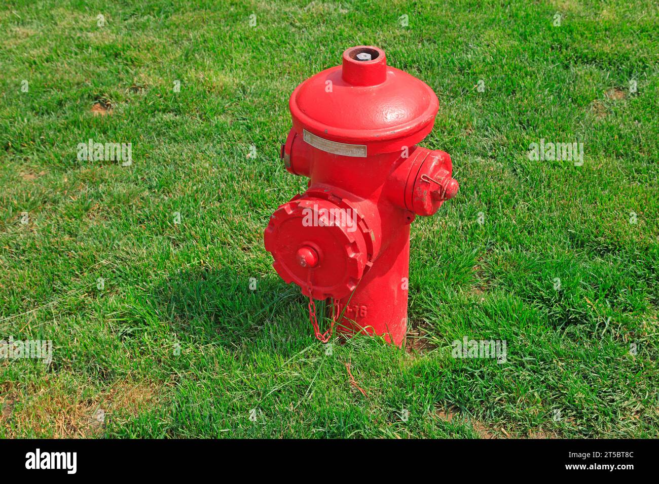 Fire hydrant in plants hi-res stock photography and images - Alamy
