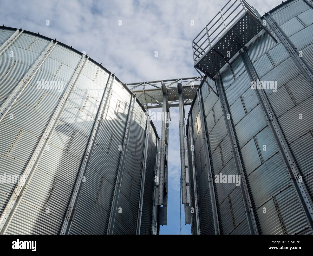 Storage silo for paddy rice at a milling plant Stock Photo - Alamy