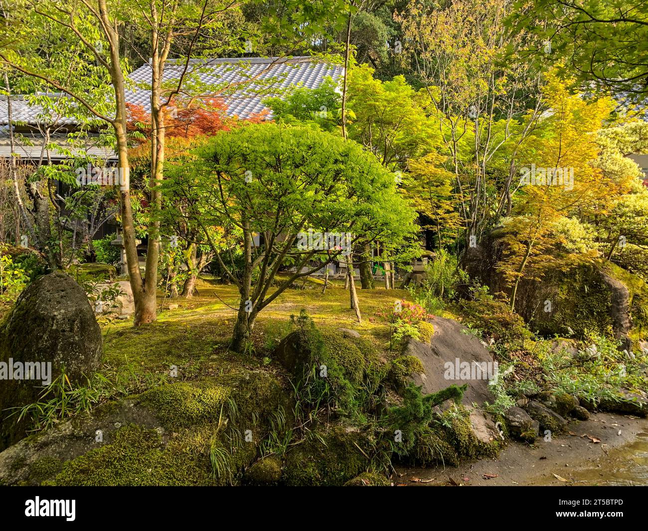 Japan, Kyushu. Garden of Kogane Sanso Onsen, Yabakei Stock Photo - Alamy