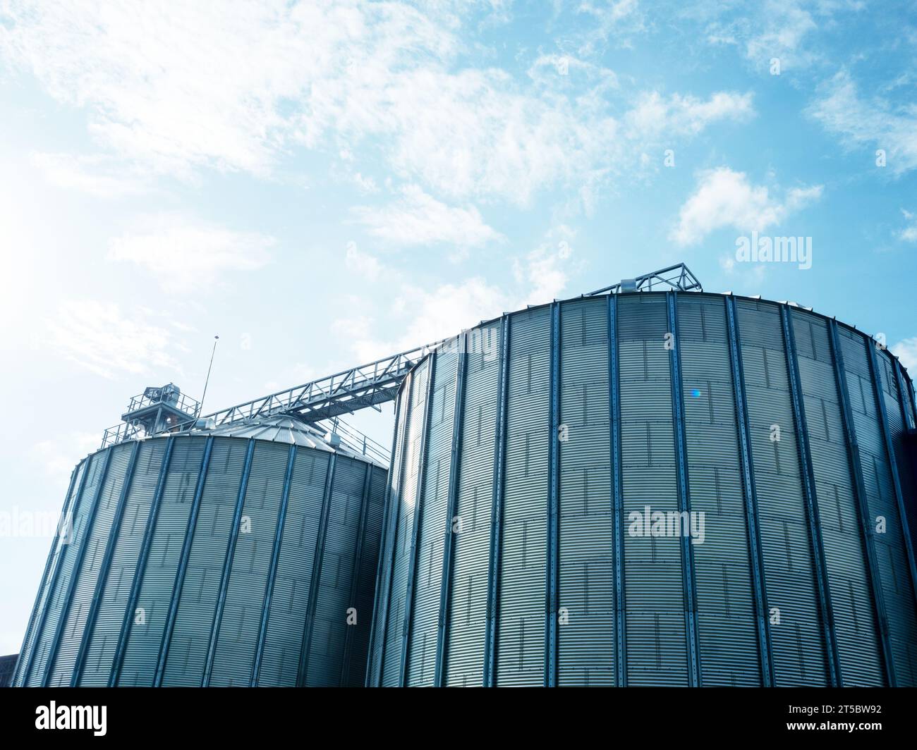 Storage silo for paddy rice at a milling plant Stock Photo - Alamy
