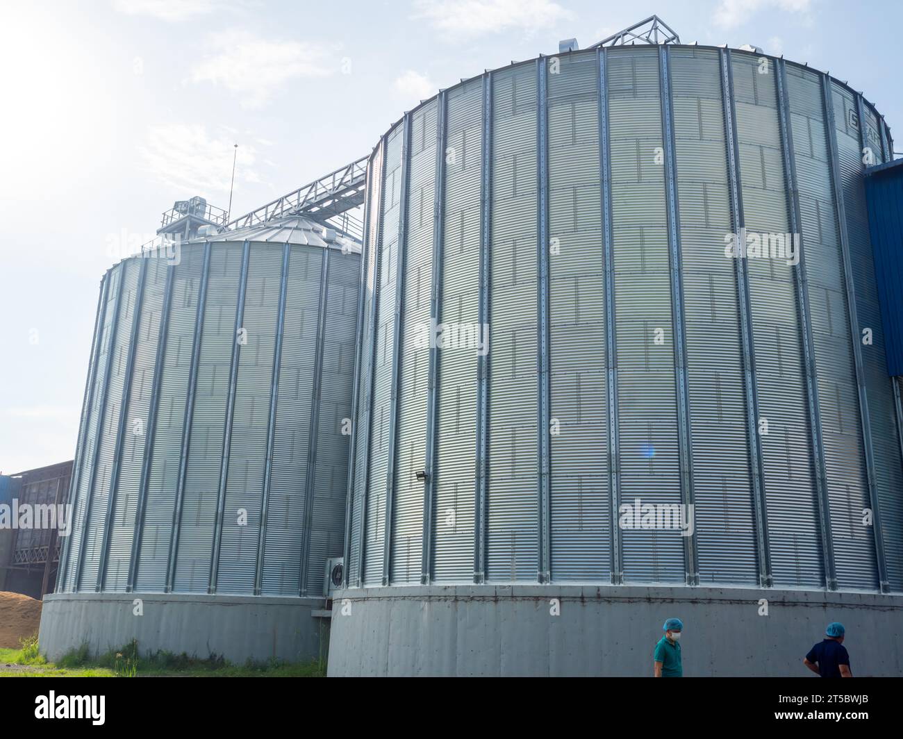 Storage silo for paddy rice at a milling plant Stock Photo - Alamy