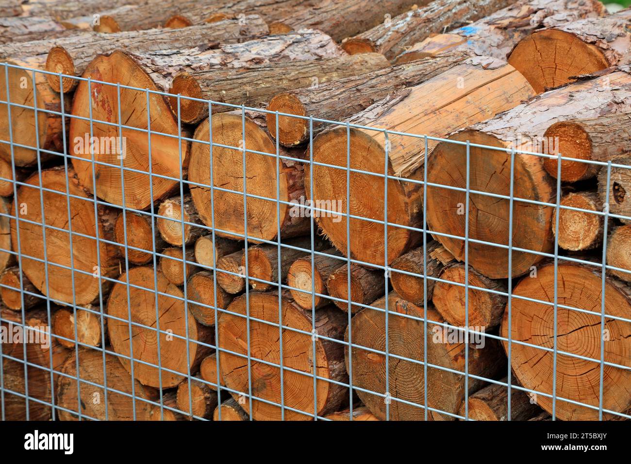 logs in a wire net Stock Photo - Alamy