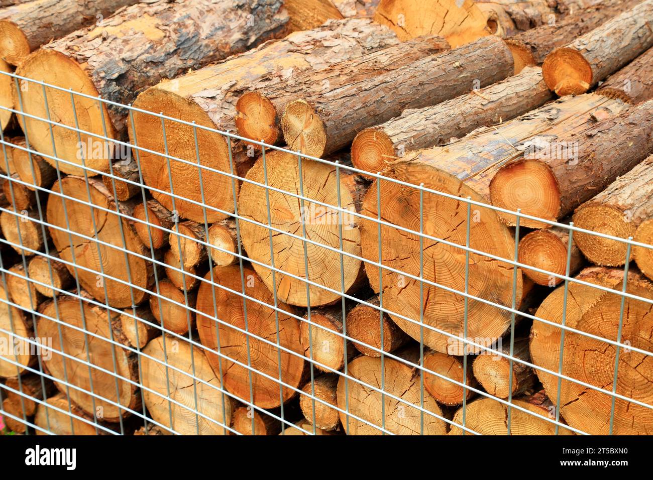 logs in a wire net Stock Photo - Alamy