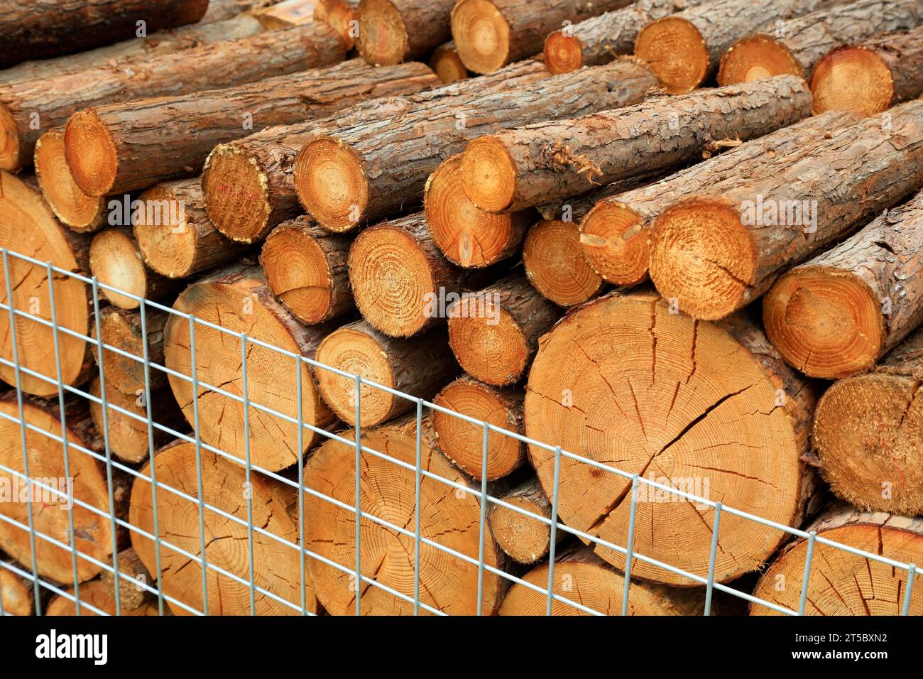 logs in a wire net Stock Photo - Alamy