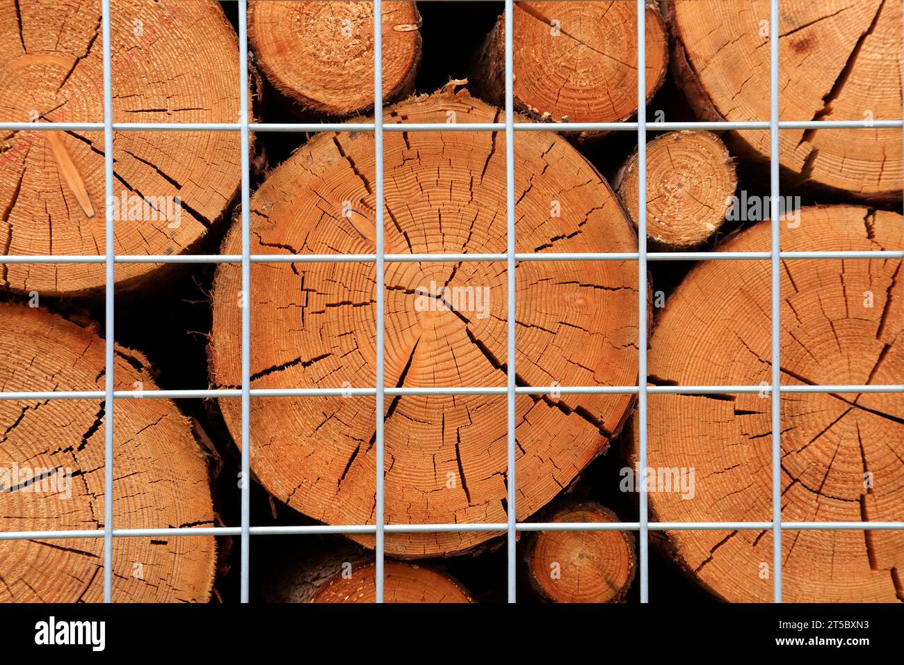 logs in a wire net Stock Photo - Alamy