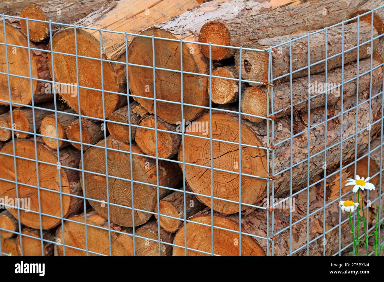 logs in a wire net Stock Photo - Alamy