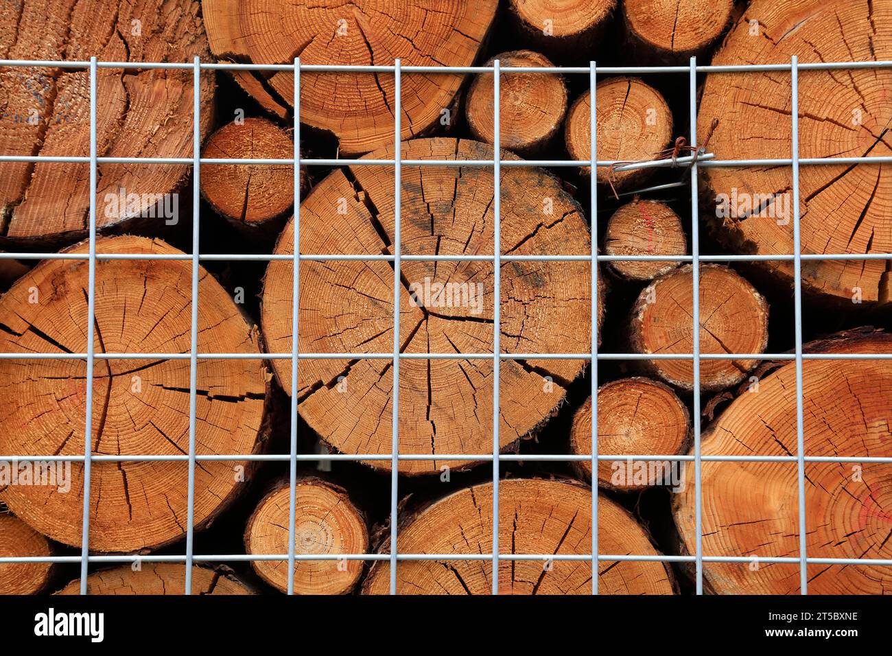 logs in a wire net Stock Photo - Alamy
