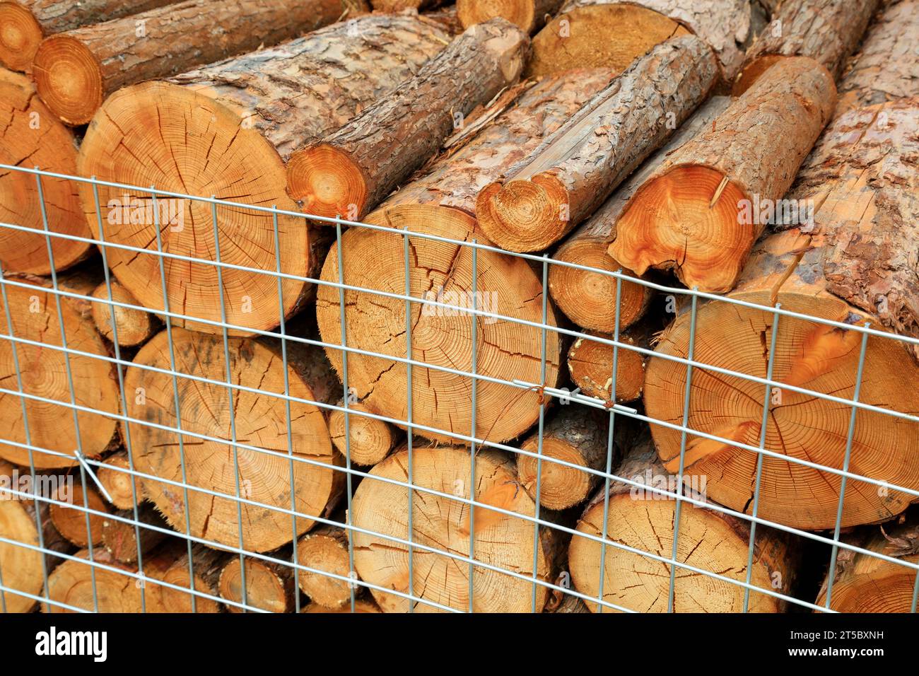 logs in a wire net Stock Photo - Alamy
