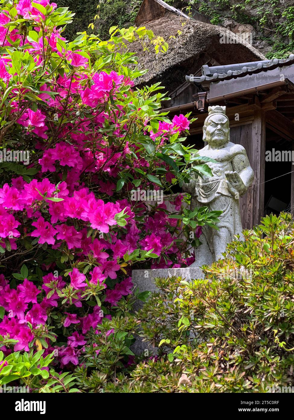 Japan, Kyushu. Nio temple guardian. in front of Tennen-ji Temple Stock ...