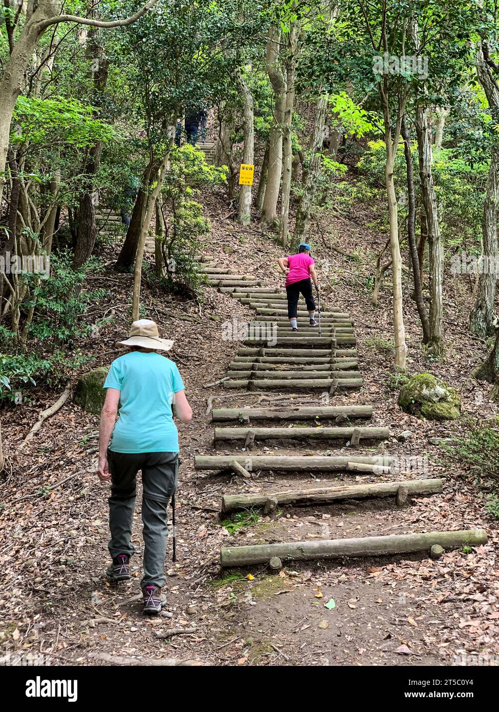 Itsutsu ji hi-res stock photography and images - Alamy