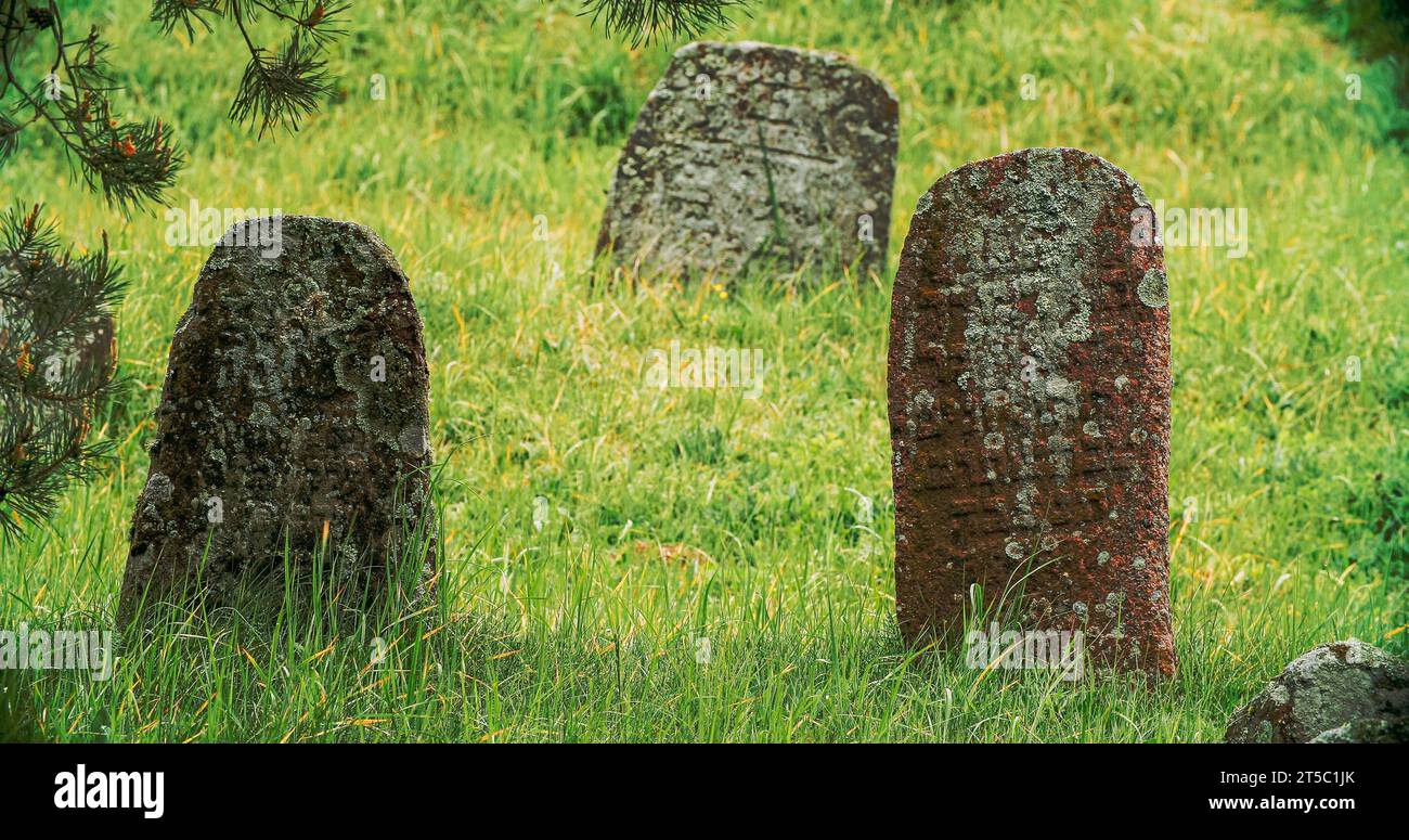 Old ancient Jewish cemetery in summer spring day. green grass and many ...