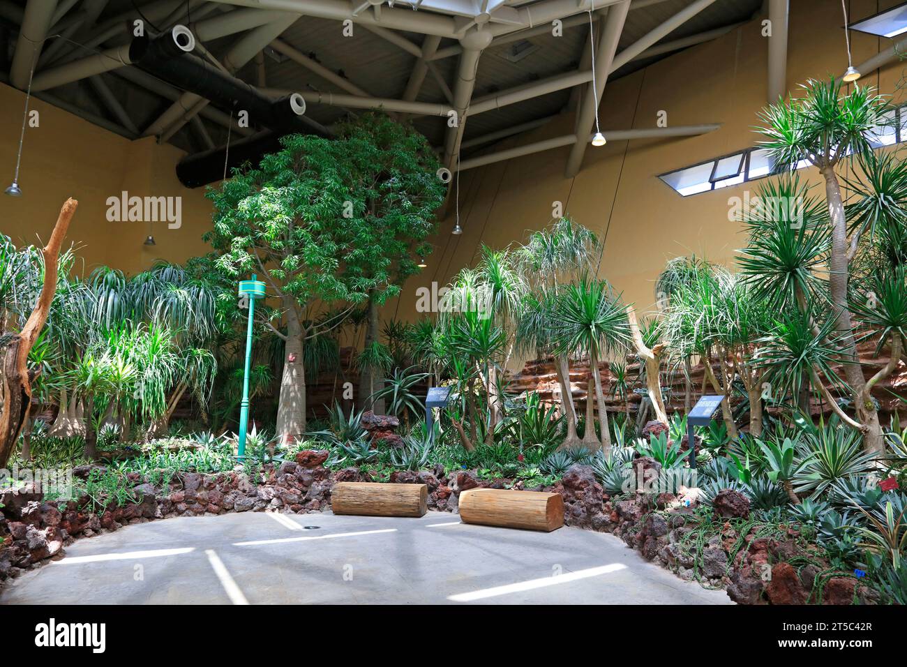 Plants in tropical hall hi-res stock photography and images - Alamy