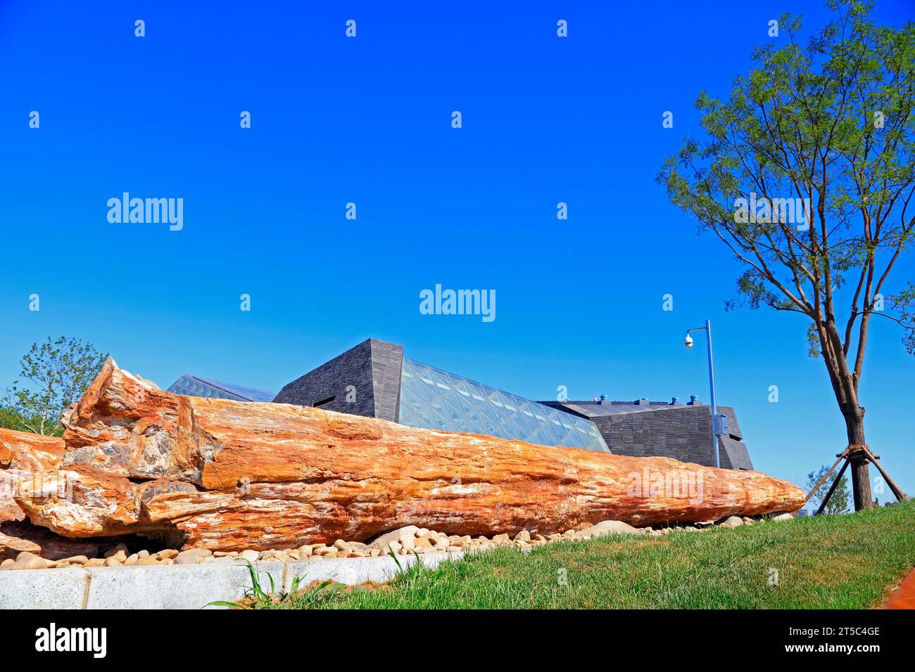 Fossil relics hi-res stock photography and images - Alamy