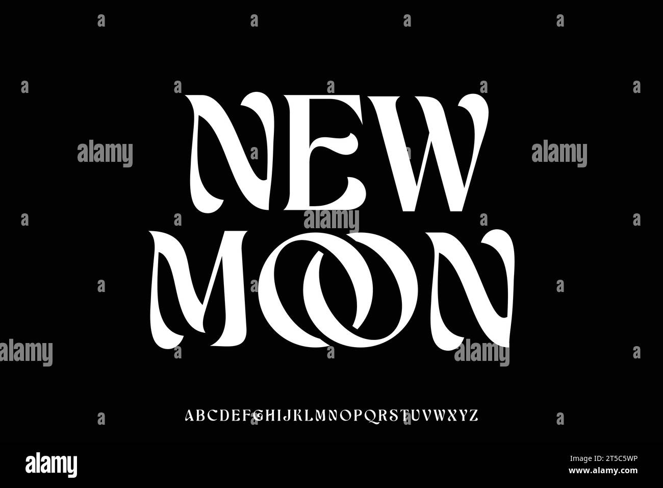 Beautiful natural decorative alphabet display font vector. Elegant ...