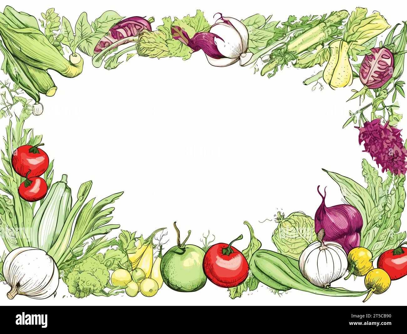 Drawing of fresh vegetables collection. Food frame illustration ...