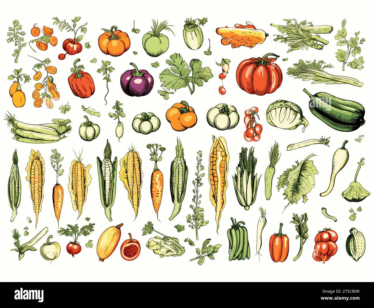 Drawing of fresh vegetables collection. Food frame illustration ...