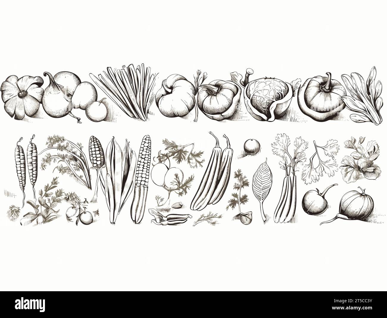 Drawing of fresh vegetables collection. Food frame illustration ...