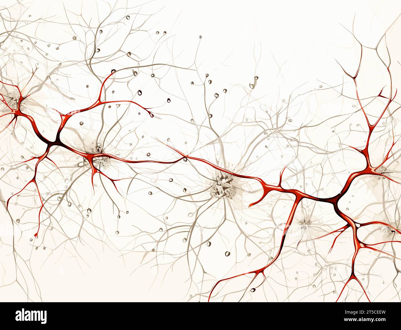 Drawing of Interconnected neurons transferring information illustration separated, sweeping ...