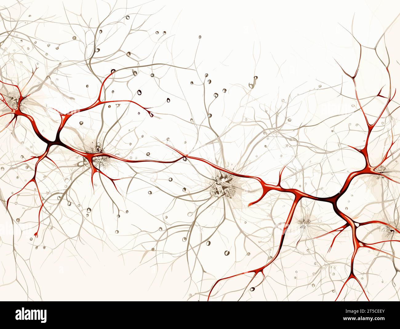 Drawing of Interconnected neurons transferring information illustration ...