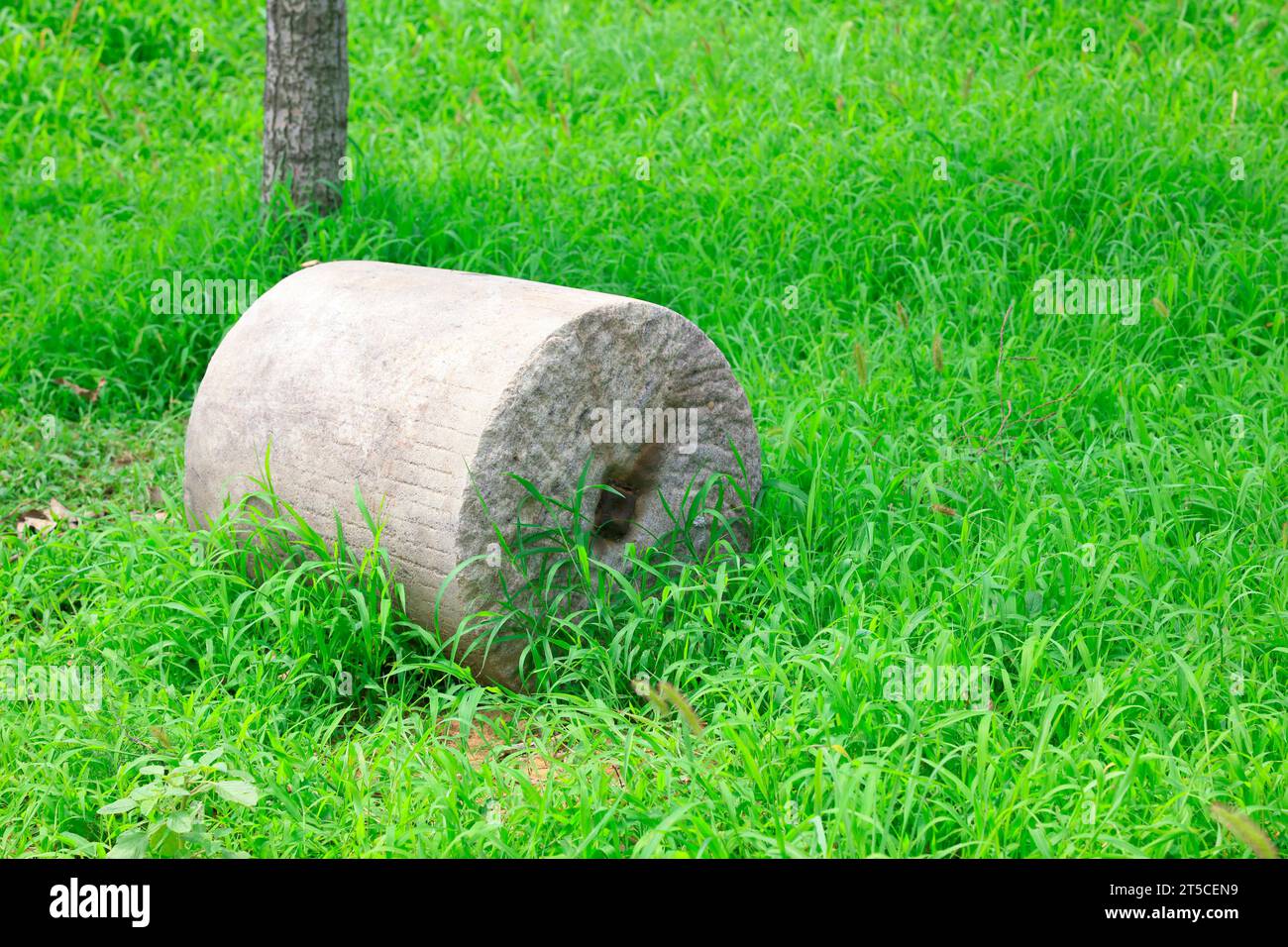 stone roller in grass Stock Photo - Alamy