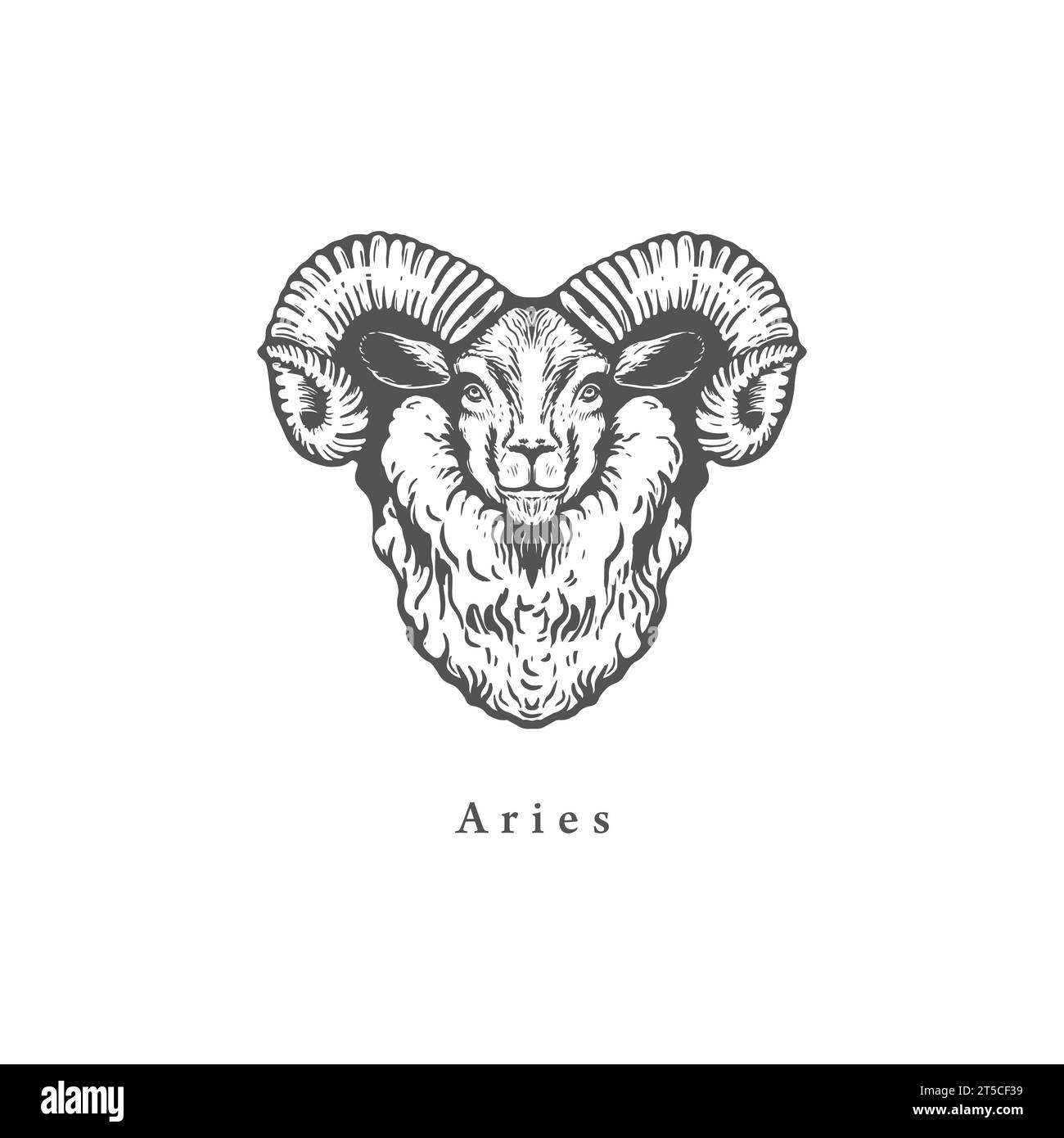 Aries Zodiac Symbol Hand Drawn Stock Vector Image And Art Alamy