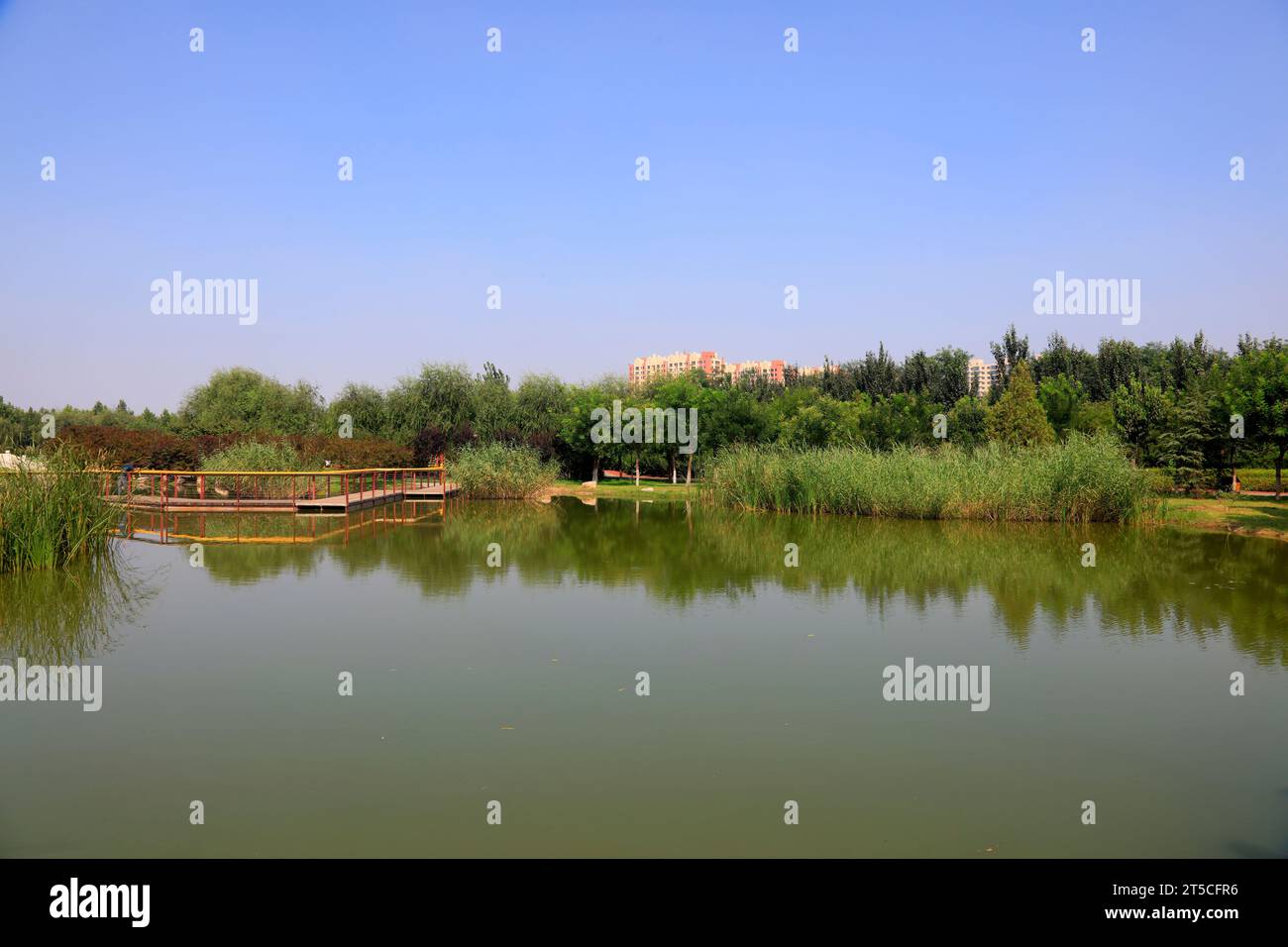 Building with reed Stock Photo - Alamy