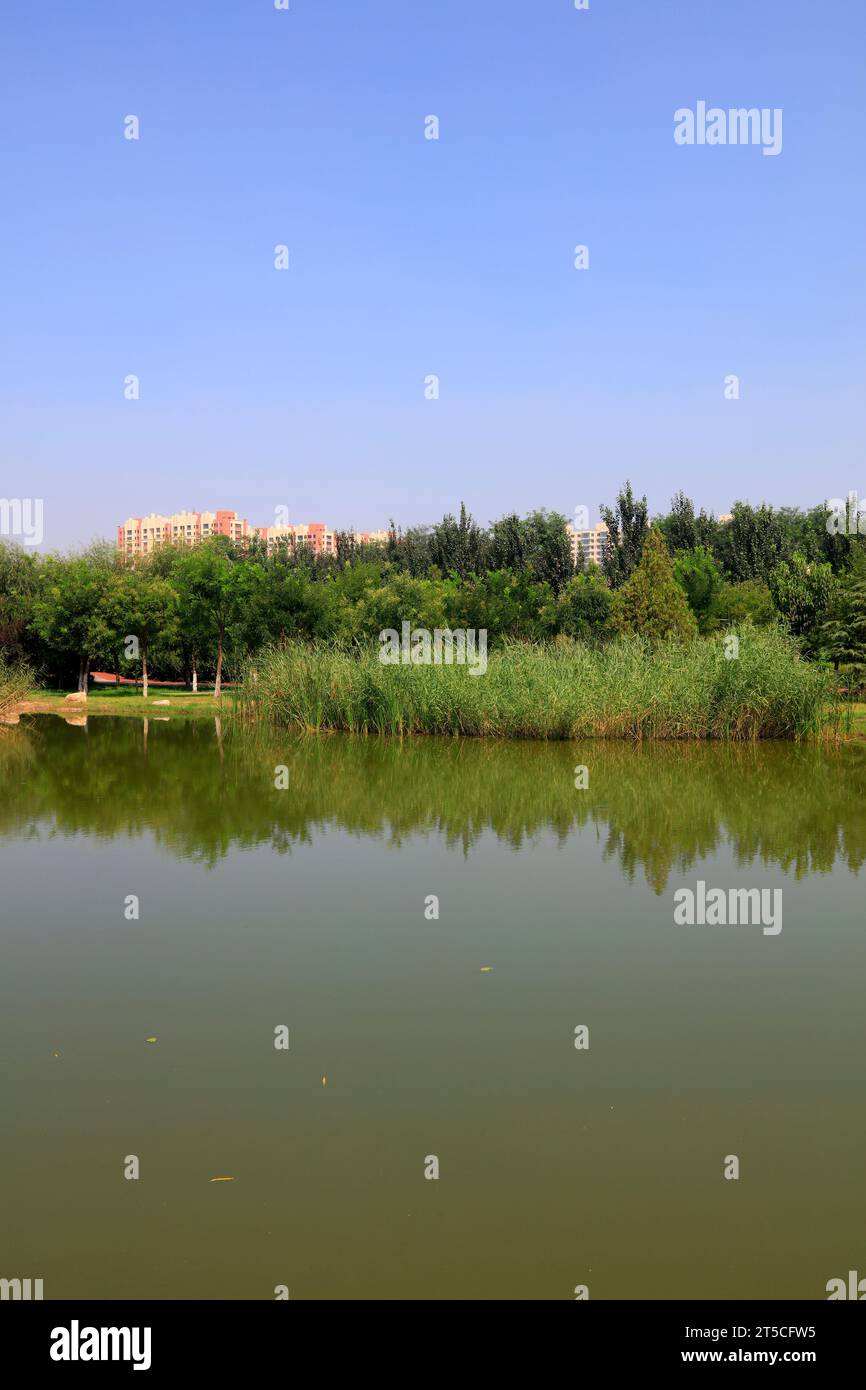 Building with reed Stock Photo - Alamy