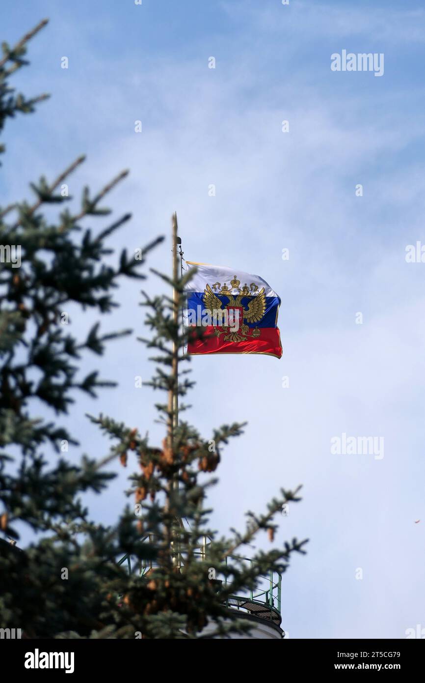 Russian flag against the background of the Kremlin spruce Stock Photo ...