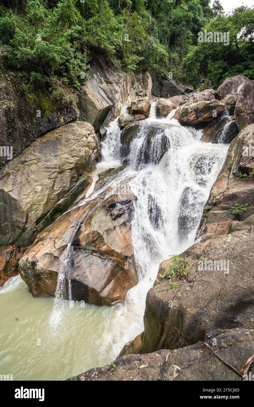 Vietnamjungletrek hi-res stock photography and images - Alamy