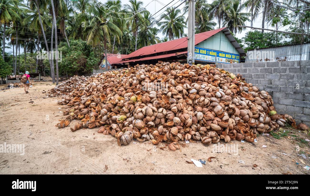 Coconutcollage hi-res stock photography and images - Alamy
