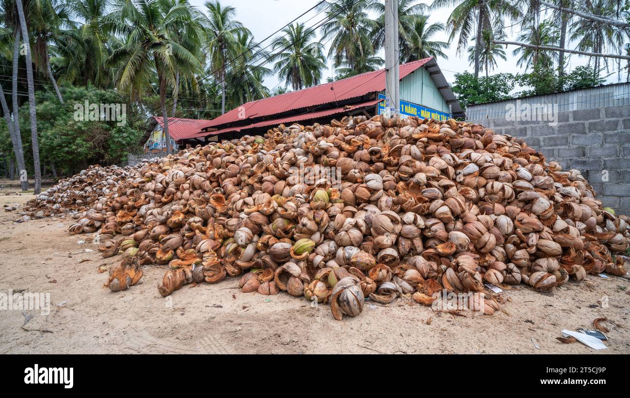 Coconutcollage hi-res stock photography and images - Alamy