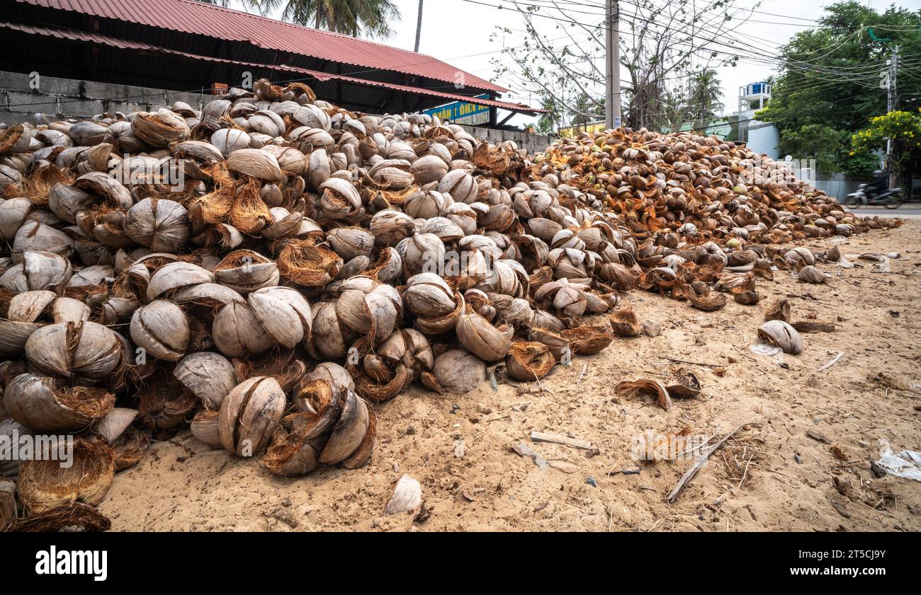 Coconutcollage hi-res stock photography and images - Alamy