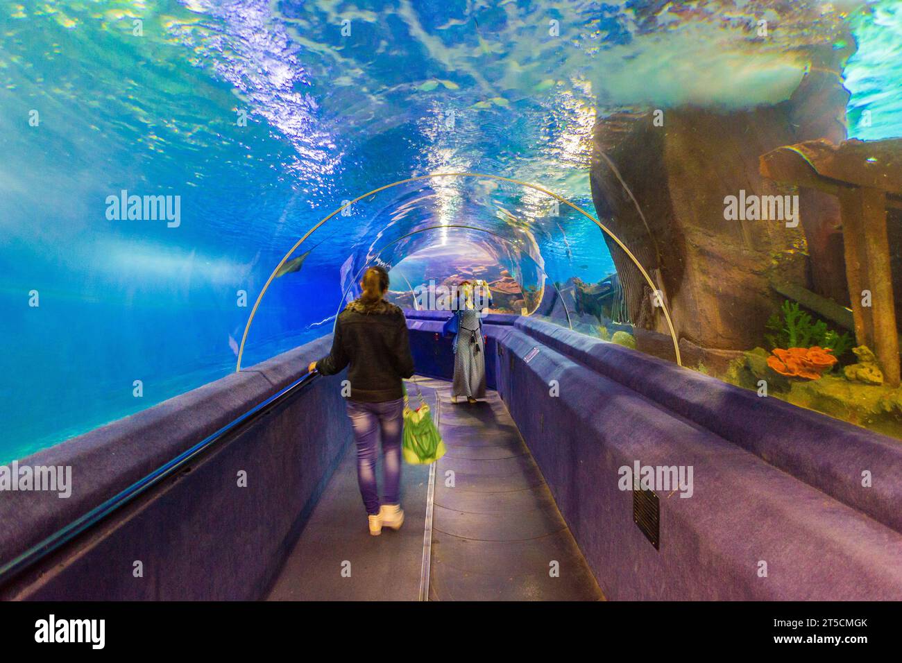 Tourist women enjoying the marine life in a tank of SeaLife aquarium ...