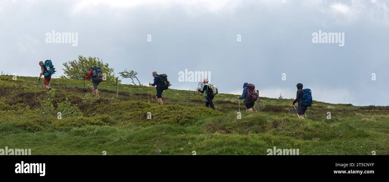 Hiking in the rain along Route des Cretes in Vosges region in France ...