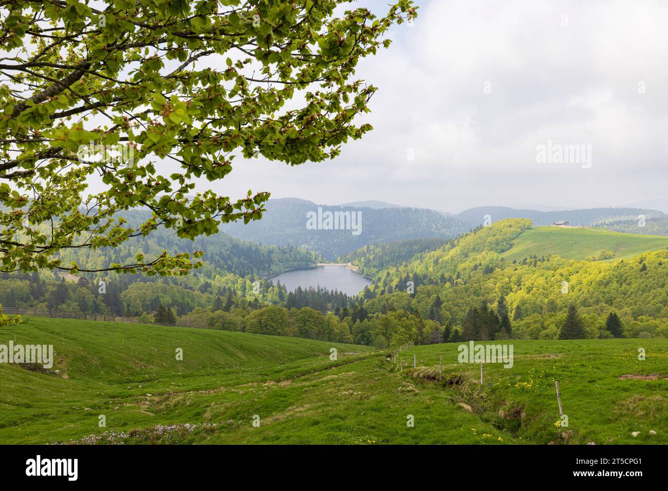 Viewpoint Lake de la Lande in La Bresse along Route des Cretes in ...