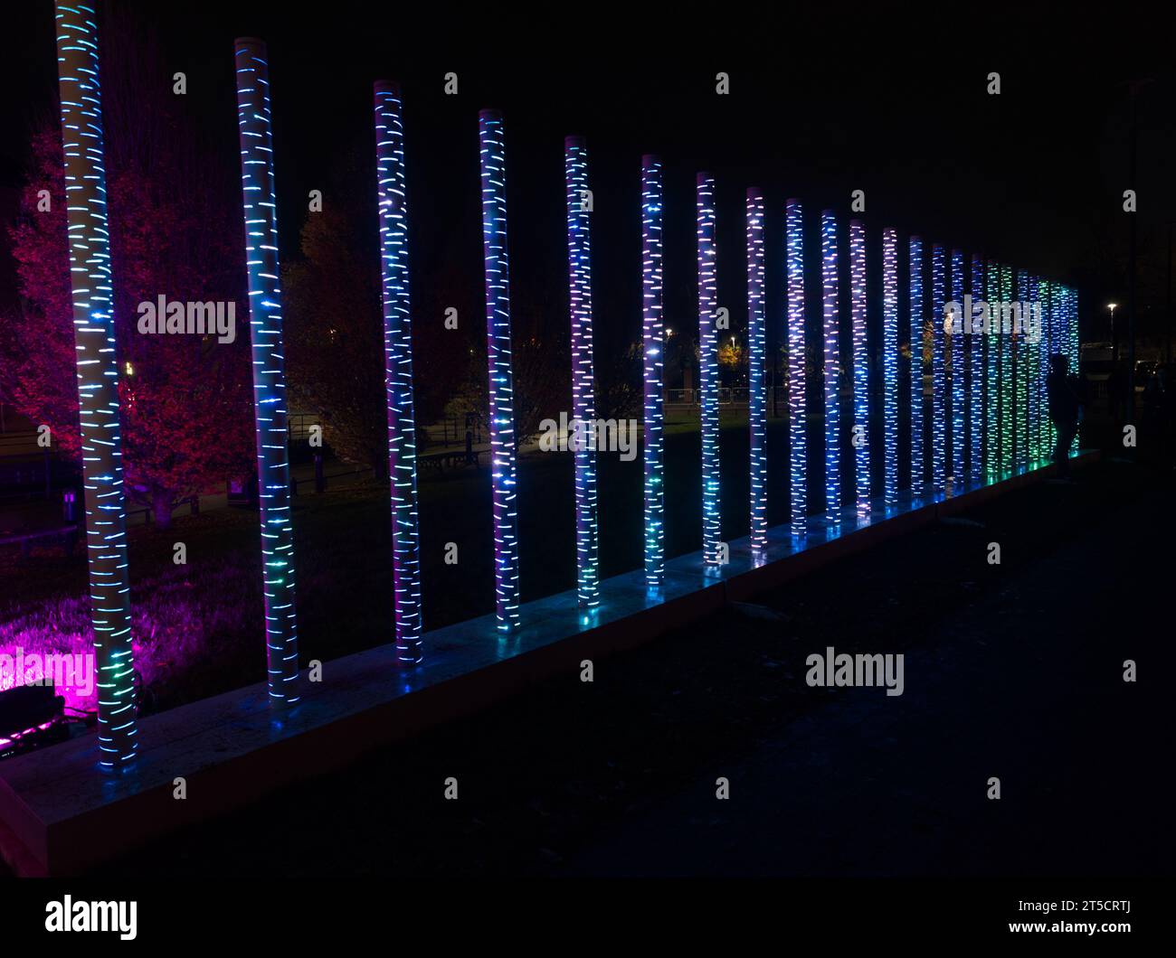 The scintillated birch hi-res stock photography and images - Alamy